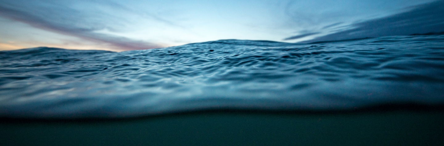 How To View Embedded Sap Bpc Models